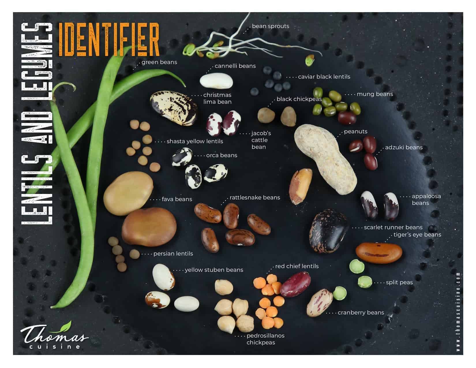 Benefits of Lentils and Legumes - Thomas Cuisine